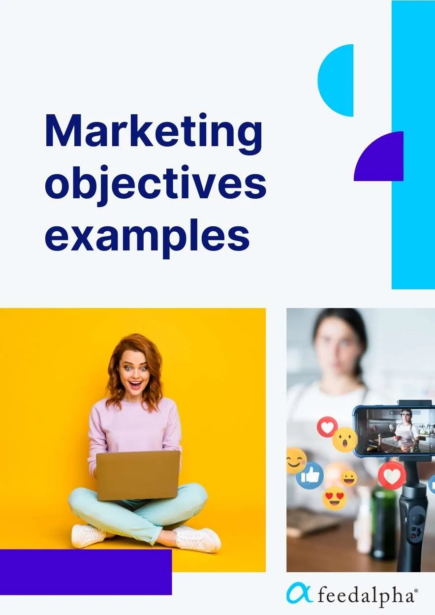 Setting Objectives - feedalpha | Social Media Automation